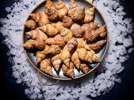 Le Bulot vivant en direct de Bretagne - La perle de Marie-Jo | La perle ...