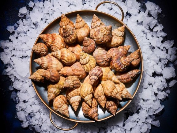 Le Bulot vivant en direct de Bretagne - La perle de Marie-Jo | La perle ...